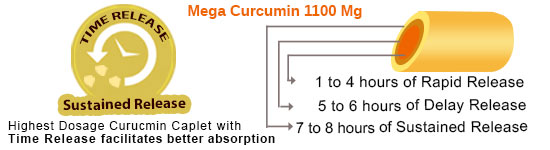 Highest Dosage Pure Curcumin | Mega Curcumin C3 Time Release 1100 mg ...