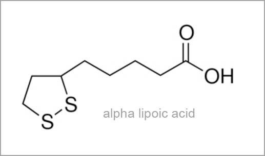 Alpha-Lipoic Acid & Acetyl L-Carnitine HCl Supplement — Health Benefits